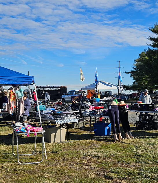 countless treasures market virginia ftr