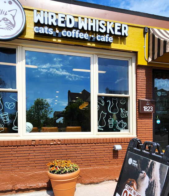 cozy spots minnesota FTR