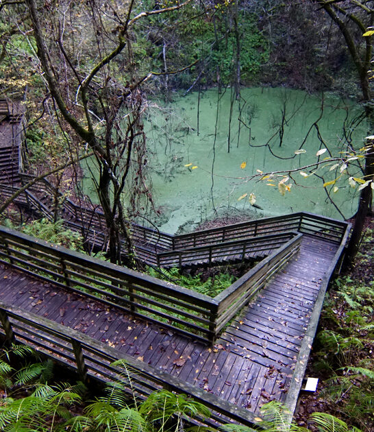 deep sinkhole florida mysterious ftr