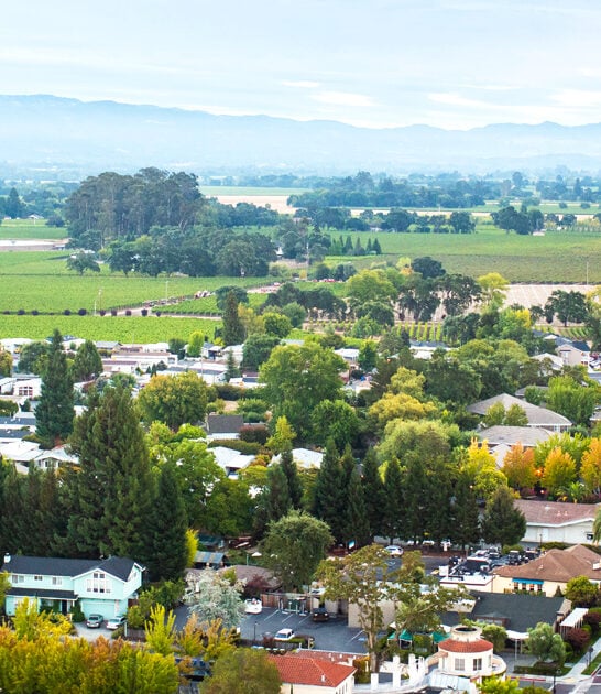 delicious california road trip FTR