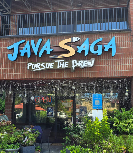 delicious fried chicken georgia FTR