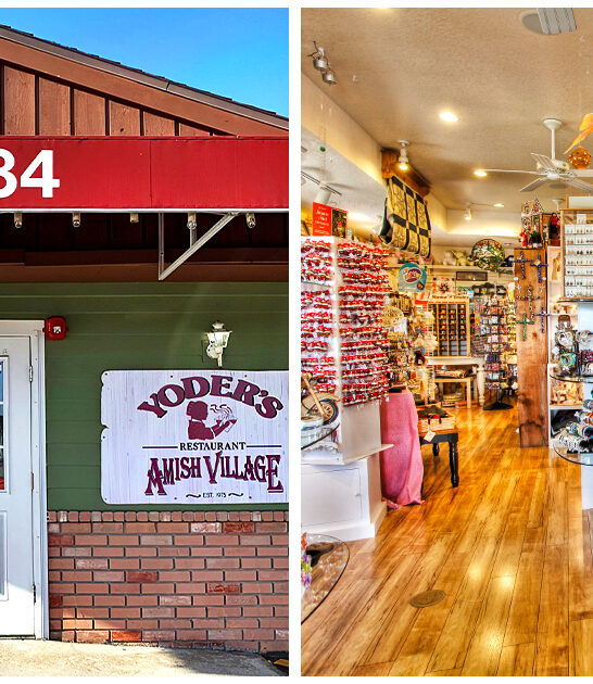 delicious pie shops florida ftr