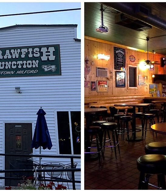 delicious wisconsin fish fry ftr