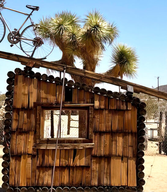 desert art museum joshua tree ca ftr