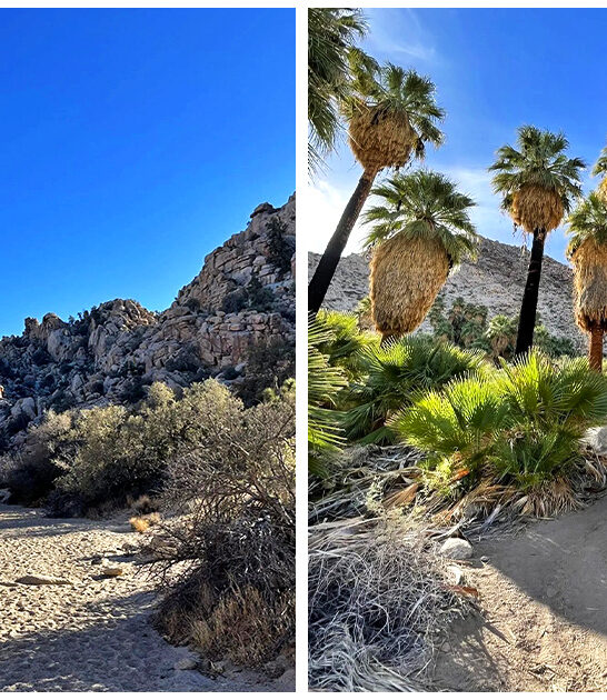 desert-hike-twentynine-palms-ca-FTR