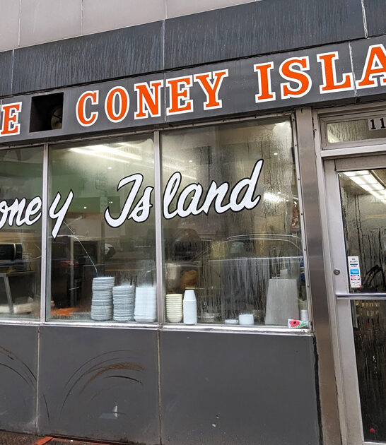 diner michigan hot dogs ftr