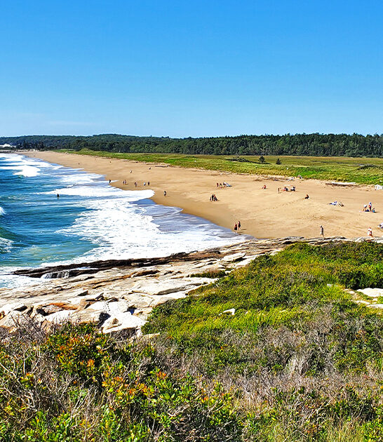 dreamy beach maine ftr
