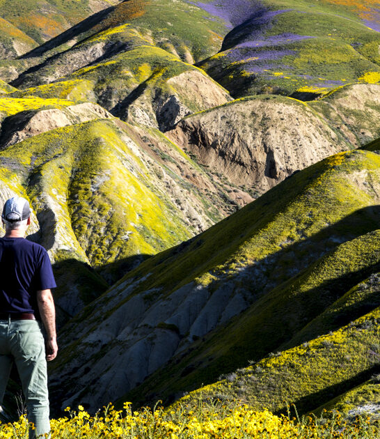 dreamy national monument california FTR