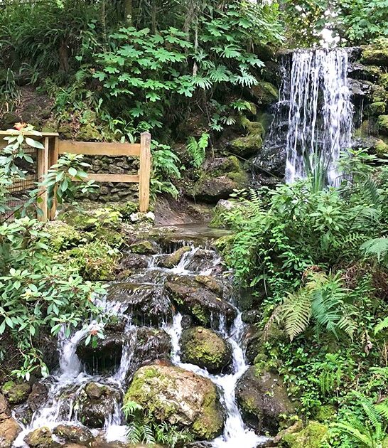 dreamy trip florida waterfalls ftr