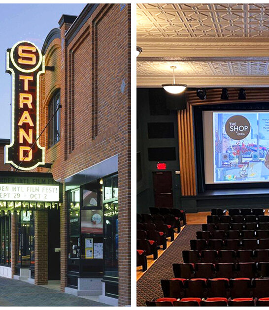 dreamy vintage cinema maine ftr