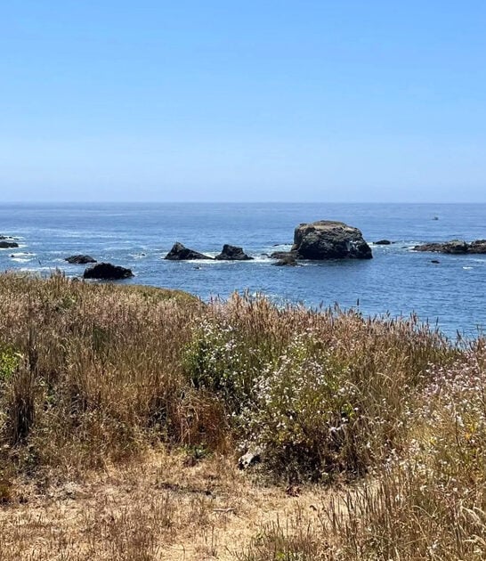 easy going trip california FTR