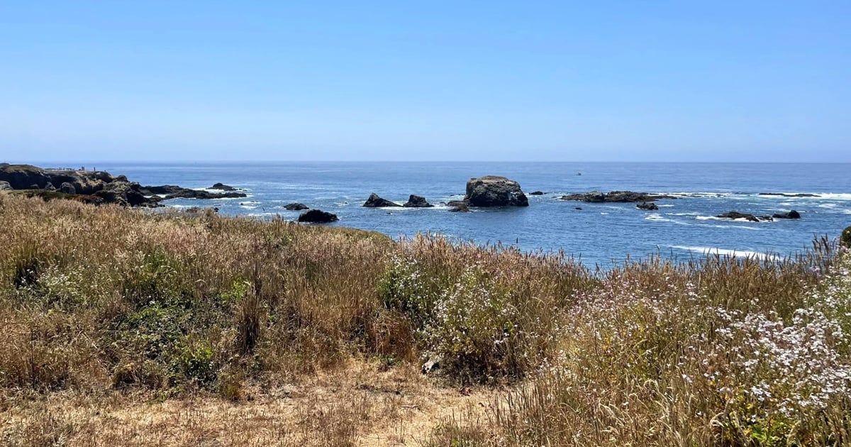 This Easy-Going Road Trip Will Take You To 10 Short Hikes In California