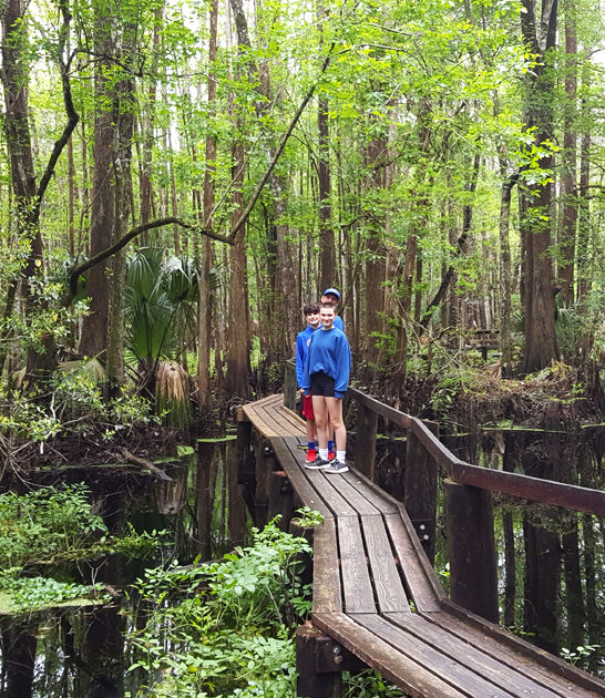 enchanted state park florida ftr