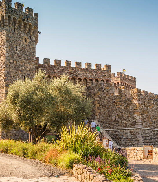 enchanting castles california FTR