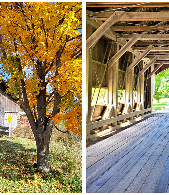 enchanting covered bridge ohio ftr