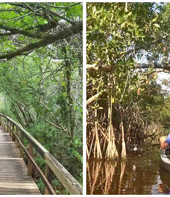 enchanting park florida hidden ftr