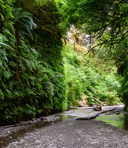 enchanting state park california ftr