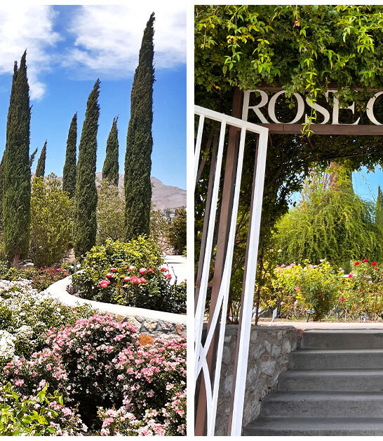 enchanting-texas-gardens-FTR