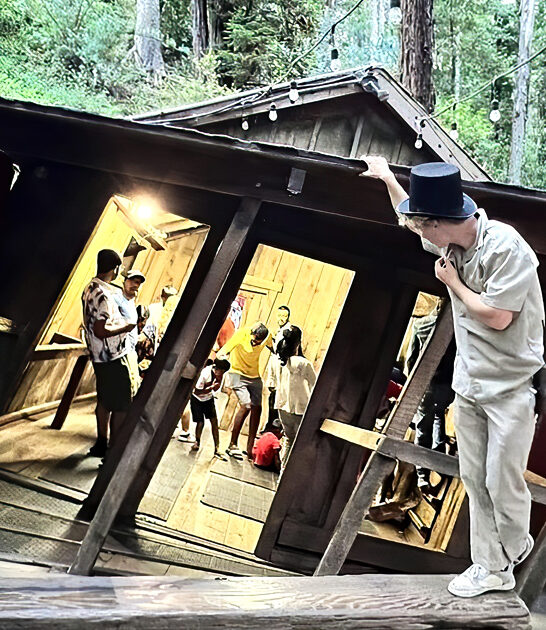 enigmatic roadside attraction california ftr