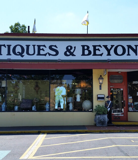 enormous antique shops georgia ftr