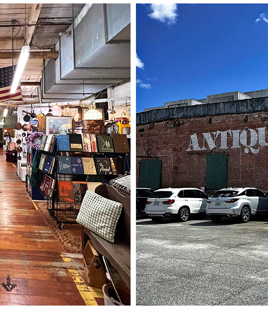 enormous antique store georgia FTR