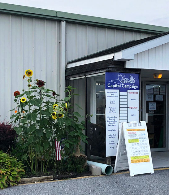 enormous thrift store delaware ftr