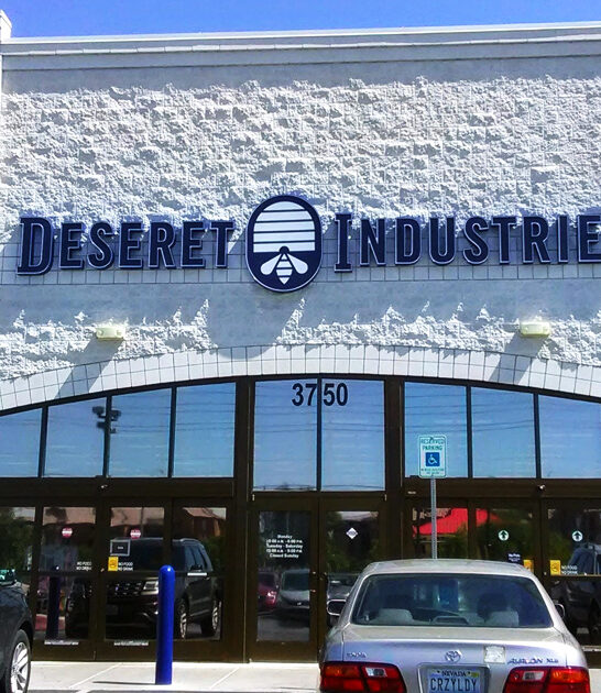 enormous thrift store nevada ftr