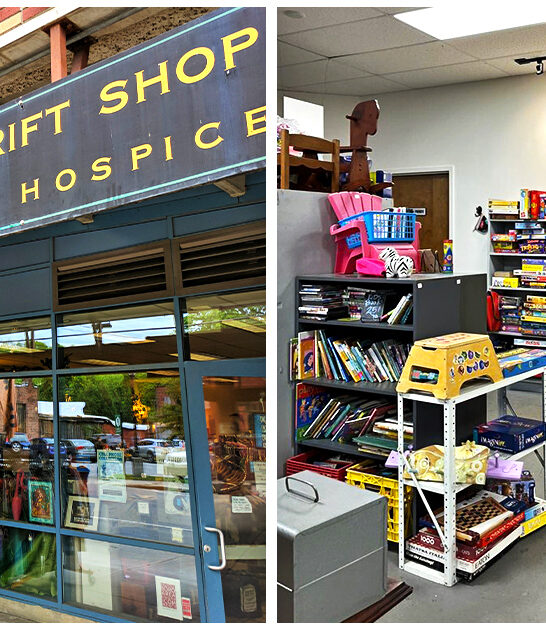 enormous thrift store vermont FTR