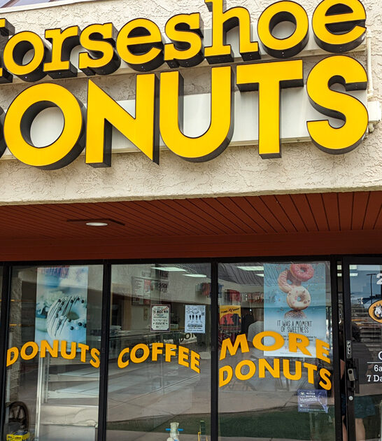 excellent donut bakery colorado ftr