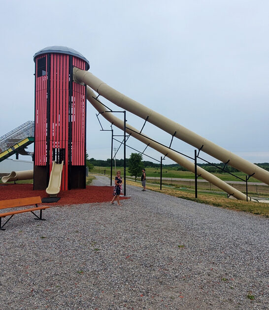 family fun farm minnesota ftr