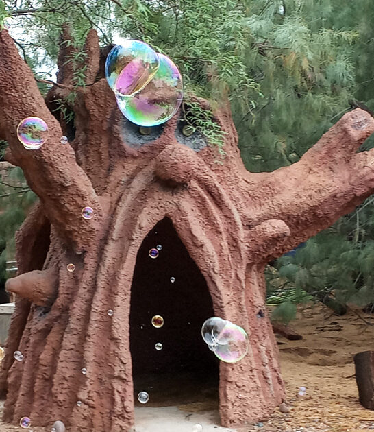 fantasy filled attractions arizona ftr