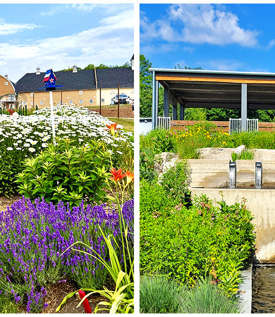 fantasy filled michigan garden ftr