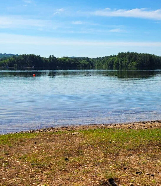 fascinating park new hampshire ftr