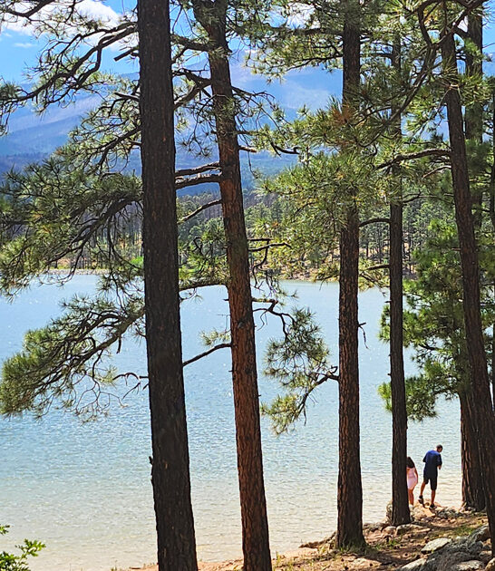 fascinating park new mexico ftr