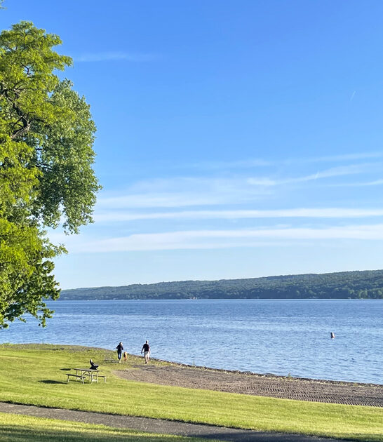 fascinating park new york ftr