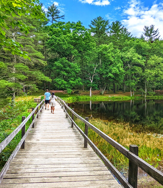 fascinating park rhode island ftr