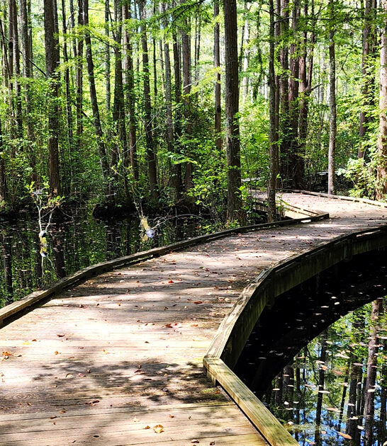 fascinating park south carolina ftr