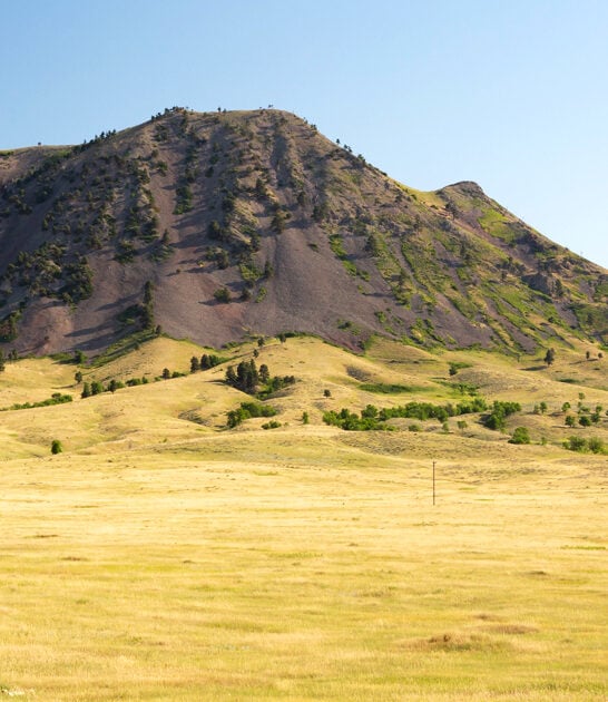 fascinating park south dakota ftr