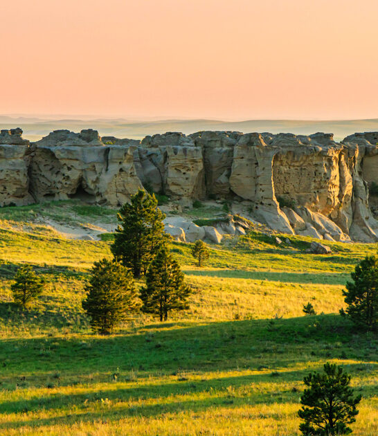 fascinating park state montana ftr