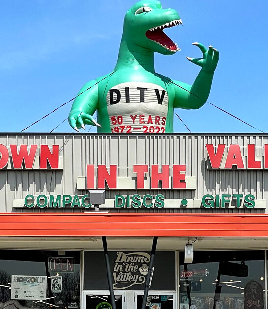 fascinating record store minnesota FTR