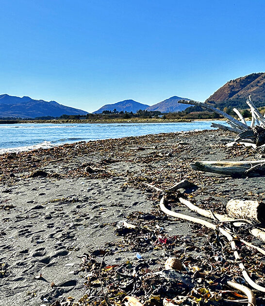 fascinating state park alaska ftr