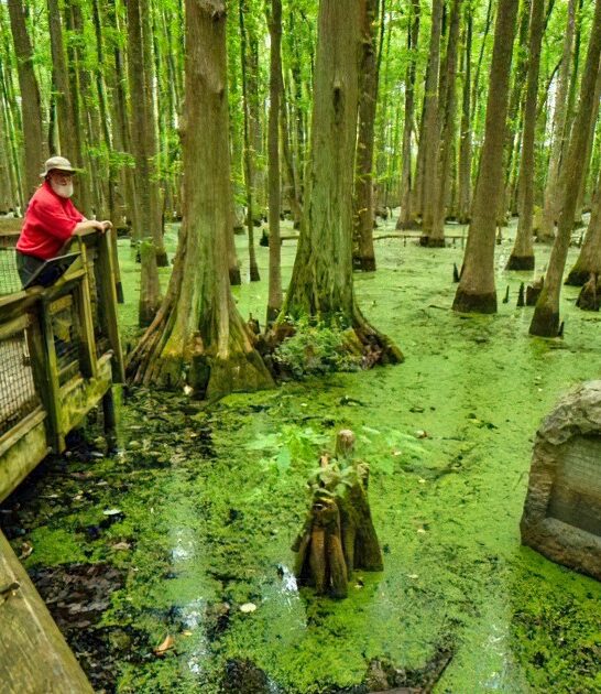 fascinating state park arkansas FTR
