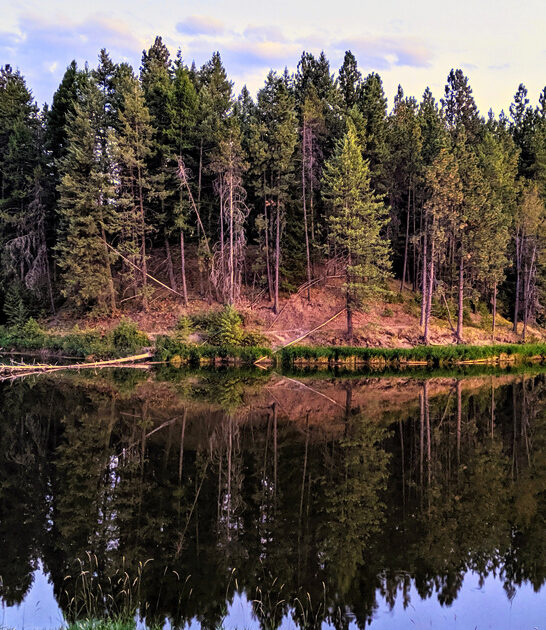 fascinating state park idaho ftr