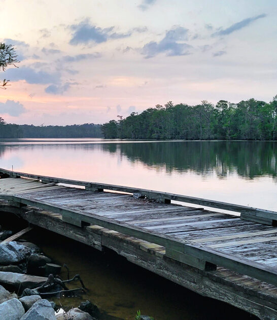fascinating state park louisiana ftr
