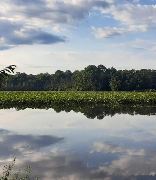 fascinating state park maryland ftr