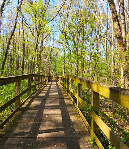 fascinating state park tennessee ftr