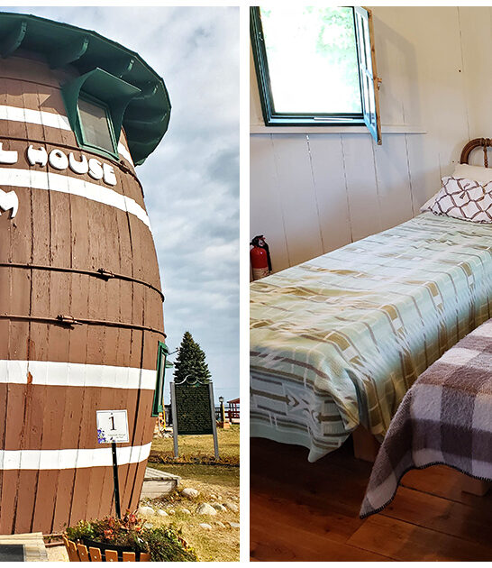 fascinatingly weird house-michigan FTR