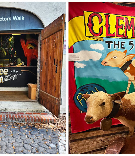 fascinatingly weird museum savannah ga ftr