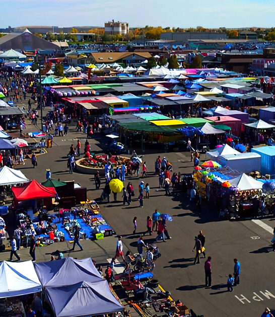 flea market colorado treasures ftr