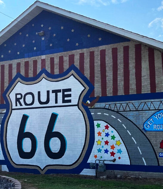 flea market illinois ftr